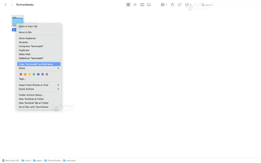 Copy Files in Python - Python Geeks