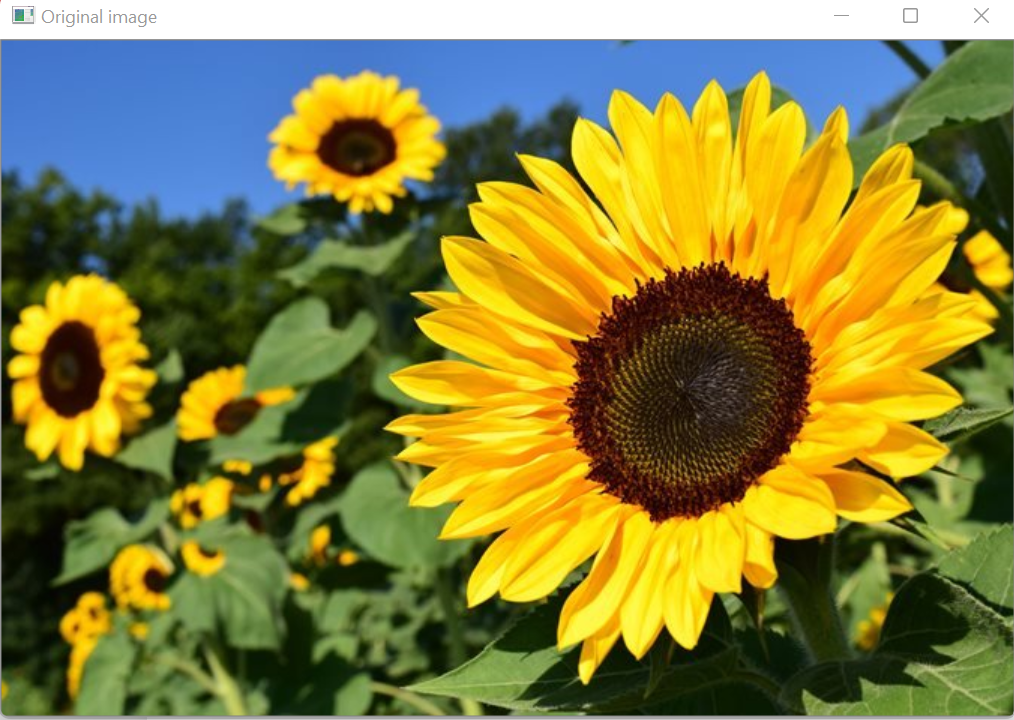 Laplacian and Distance Transformation Operators in OpenCV - Python Geeks