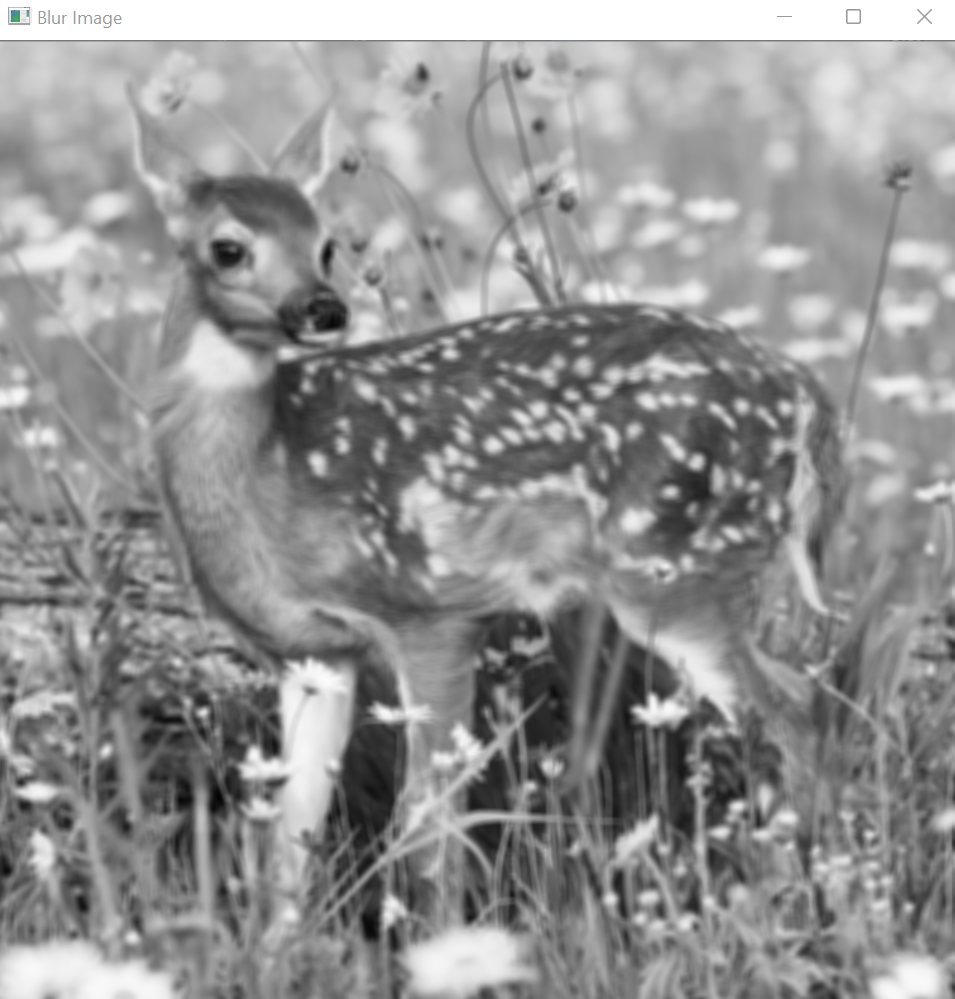 Canny Edge Detection Using Opencv Python Geeks 0194