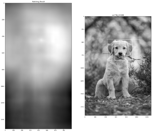 Template Matching Using Opencv Python Geeks 8260